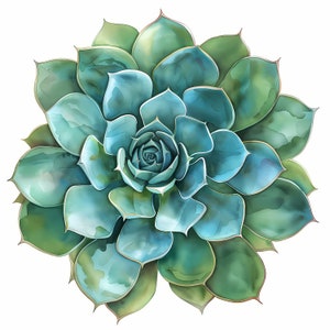 Succulent Clipart, Cactus Succulents Images, 10 Watercolor Clip Art ...