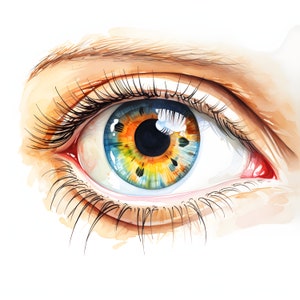 Colorful Eye Clipart, Abstract Eyeballs Images, 10 Watercolor Clip Art ...