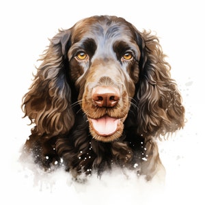 Irish Water Spaniel Clipart, Spaniel Dog Images, 10 Watercolor Clip Art ...