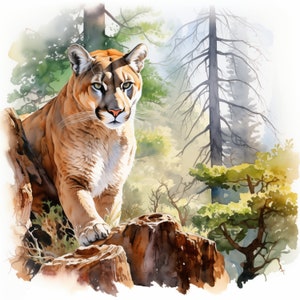 Cougar Clipart, Mountain Lion Images, 10 Watercolor Clip Art, Printable ...