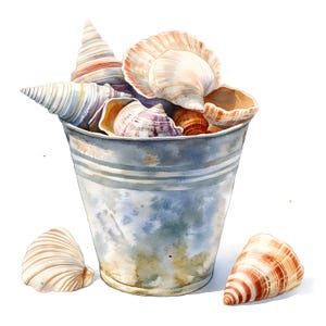 Seashells in Bucket Clipart: Watercolor Sea Shells Images (jpgs) - Etsy