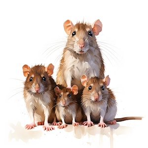 Rat Family Clipart, Rats Images, 10 Watercolor Clip Art, Printable Jpgs ...