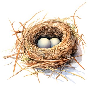Bird Nest Clipart, Eggs in Nest Images, 10 Watercolor Clip Art ...