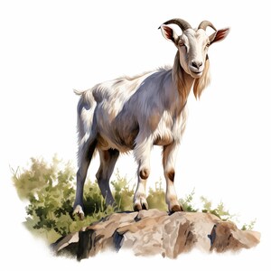 Farm Goat Clipart, Farmyard Goat Images, 10 Watercolor Clip Art ...