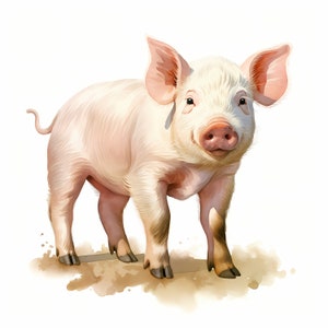 Farmyard Pig Clipart, Farm Pig Images, 10 Watercolor Clip Art ...