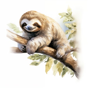 Sloth Clipart, Sloths Images, 10 Watercolor Clip Art, Printable Jpgs ...