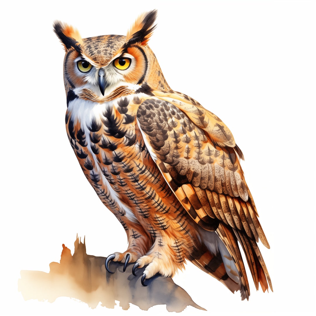Owl Clipart, Great Horned Owl Images, 10 Watercolor Clip Art, Printable ...