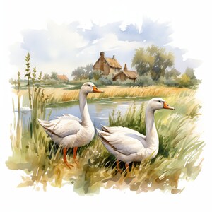 Geese Clipart, Farm Goose Images, 12 Watercolor Clip Art, Printable ...