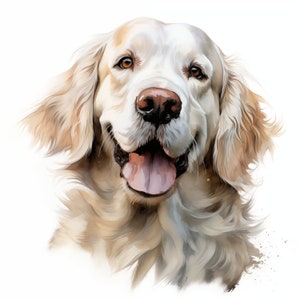 Clumber Spaniel Clipart, Clumber Spaniel Dog Images, 10 Watercolor Clip ...