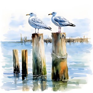 Seagull Watercolor Clipart: Gulls on Pier Posts (JPG, Commercial Use ...