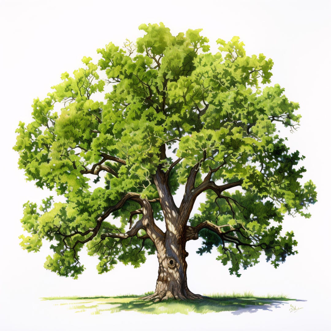 Forest Trees Clipart, Green Woodland Images, 10 Watercolor Clip Art ...