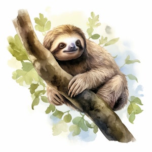 Sloth Clipart, Sloths Images, 10 Watercolor Clip Art, Printable Jpgs ...