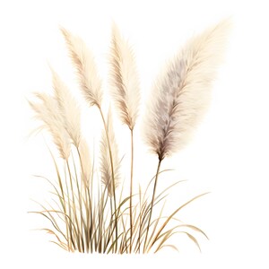 Pampas Grass Clipart, Boho Floral Images, 10 Watercolor Clip Art ...