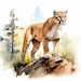 Cougar Clipart, Mountain Lion Images, 10 Watercolor Clip Art, Printable ...