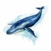 Whale Clipart, Blue Whale Images, 10 Watercolor Clip Art, Printable ...