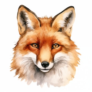 Red Fox Clipart, Forest Fox Images, 12 Watercolor Clip Art, Printable ...