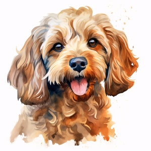 Cockapoo Clipart, Cockerpoo Images, 10 Watercolor Clip Art, Printable ...