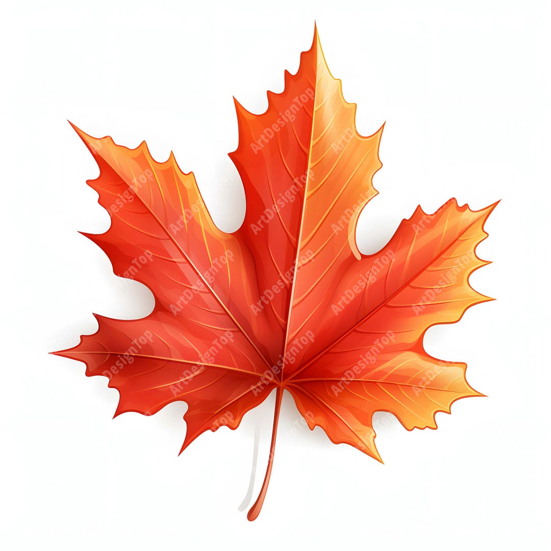 Maple Leaf Clipart, Autumn Leaves Images, 10 Watercolor Clip Art ...