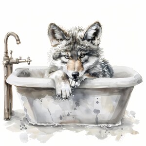 Wolf in Bathtub Clipart, Wolf Washing Images, 10 Watercolor Clip Art ...