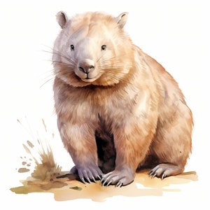 Watercolor Wombat Clipart: 10 JPG Images, Commercial Use (instant Download) - Etsy