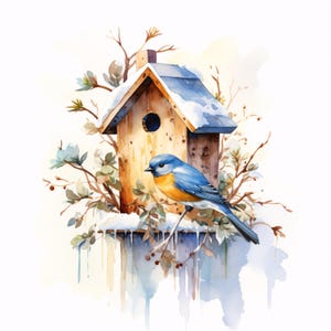 Winter Birdhouse Clipart, Snow Bird Images, 10 Watercolor Clip Art ...