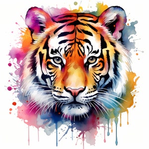 Cute Tiger Clipart, Tiger Cub, Big Wild Cat Images, 10 Watercolor Clip ...
