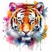 Cute Tiger Clipart, Tiger Cub, Big Wild Cat Images, 10 Watercolor Clip ...