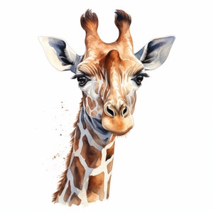 Watercolor Giraffe Clipart: Printable Animal Images (jpgs, Commercial ...