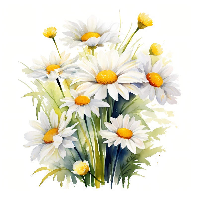 Watercolor Daisy Clipart: Floral Bouquet Images (JPG, Commercial Use ...