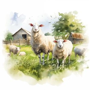 Sheep Clipart, Sheep on Farm Images, 10 Watercolor Clip Art, Printable ...