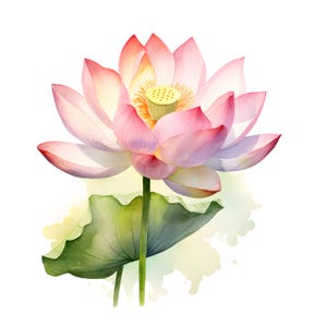 Lotus Clipart, Lotus Flower Images, 10 Watercolor Clip Art, Printable ...