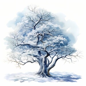 Frozen Tree Clipart, Winter Tree Images, 10 Watercolor Clip Art ...