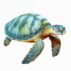 Sea Turtle Clipart, Marine Turtle Images, 10 Watercolor Clip Art ...