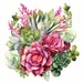 Succulents Clipart, Cactus Succulent Images, 10 Watercolor Clip Art ...