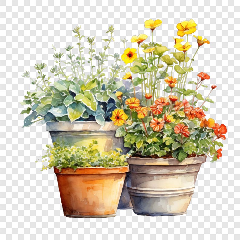 8 PNG Flower Pots Clipart, Garden Plants Images, Watercolor Clip Art ...