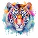 Cute Tiger Clipart, Tiger Cub, Big Wild Cat Images, 10 Watercolor Clip ...