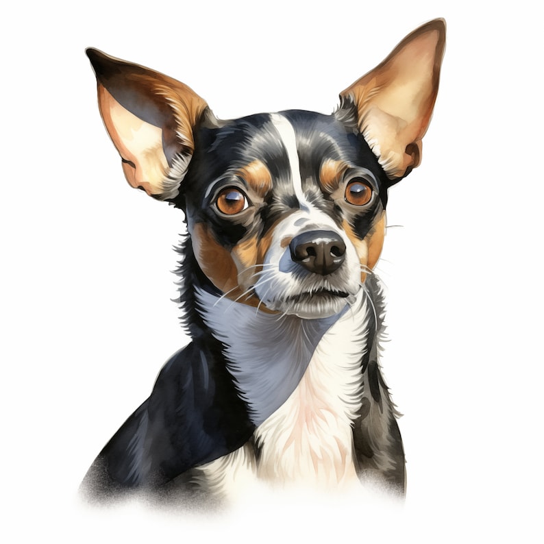 Rat Terrier Clipart, Rat Terrier Dog Images, 10 Watercolor Clip Art ...