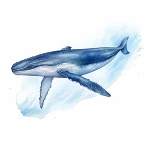 Whale Clipart, Blue Whale Images, 10 Watercolor Clip Art, Printable ...