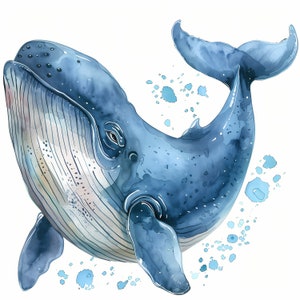 Whale Clipart, Cartoon Whales Images, 10 Watercolor Clip Art, Printable ...