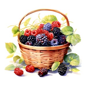 Wild Berries Clipart, Berries Basket Images, 10 Watercolor Clip Art ...