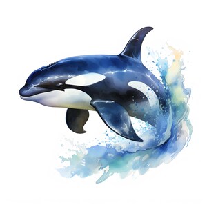 Killer Whale Clipart, Orca Images, 10 Watercolor Clip Art, Printable ...