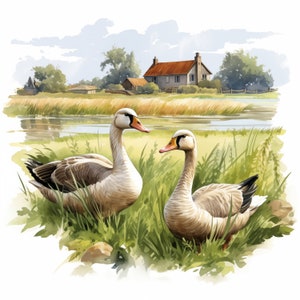 Geese Clipart, Farm Goose Images, 12 Watercolor Clip Art, Printable ...