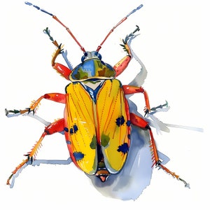 Bugs Clipart, Insects Images, 10 Watercolor Clip Art, Printable Jpgs ...