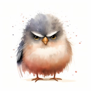 Grumpy Bird Clipart, Fluffy Birds Images, 10 Watercolor Clip Art ...