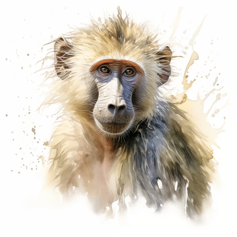 Baboon Clipart, Rainforest Primates Images, 10 Watercolor Clip Art ...