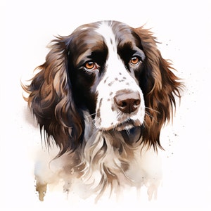 Watercolor English Springer Spaniel Clipart: Dog Breed Art (jpgs ...