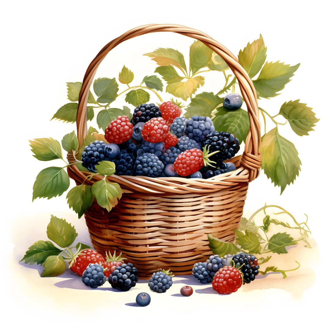 Wild Berries Clipart, Berries Basket Images, 10 Watercolor Clip Art ...