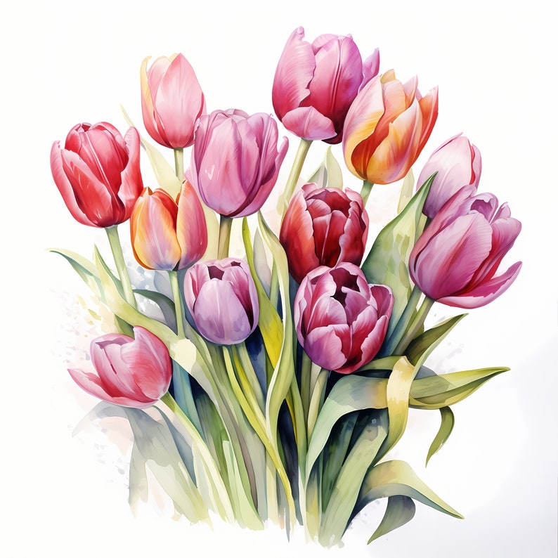 Tulips, Bouquet of Tulips, Spring Flowers Watercolor Clipart Set With ...