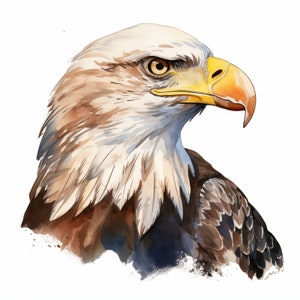 Watercolor Bald Eagle Clipart: Printable JPG Images (commercial Use) - Etsy