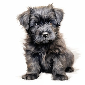 Bouvier Des Flandres Dog Clipart, Puppy Dog Images, 10 Watercolor Clip ...